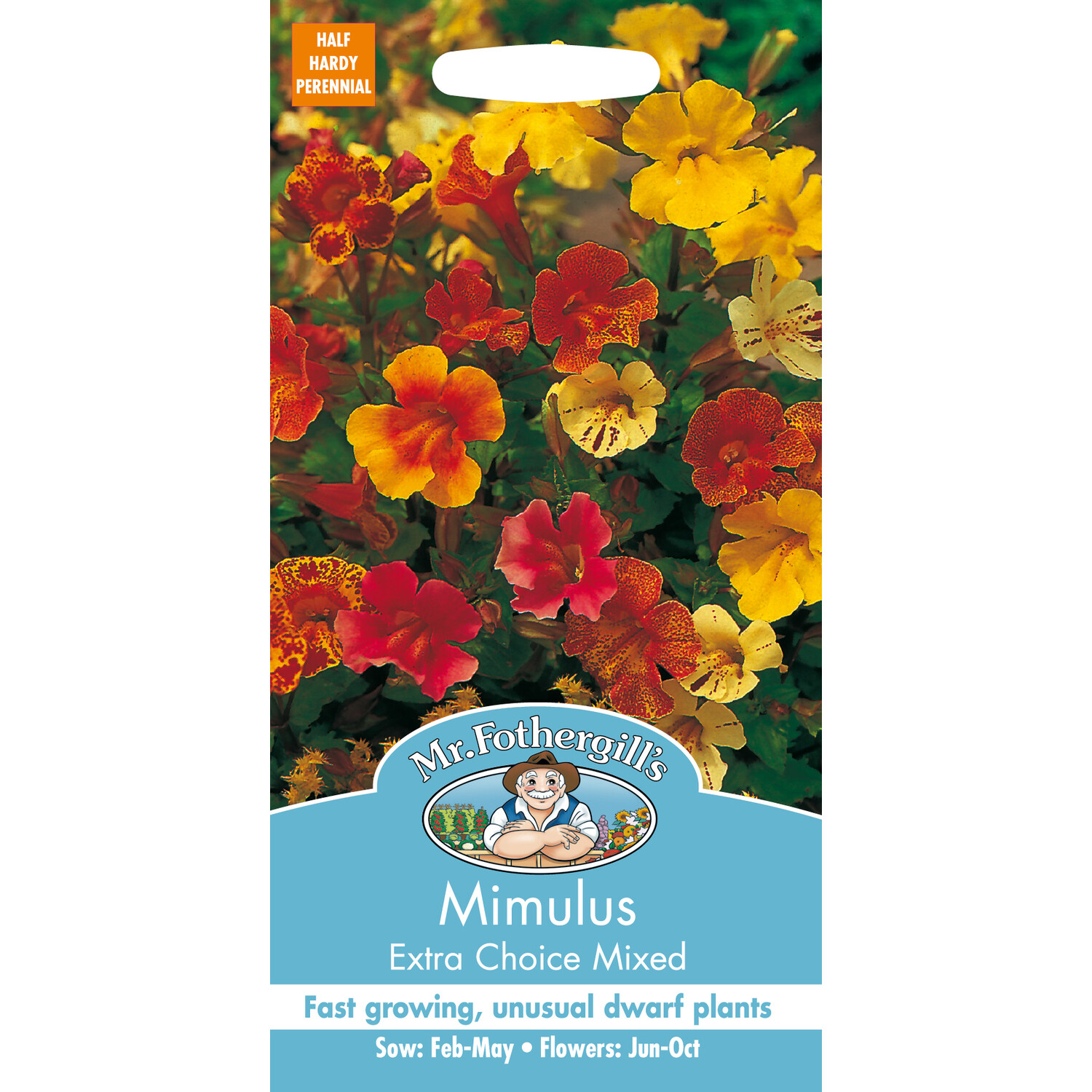 Extra Choice Mixed Mimulus Flower Seeds | Wilko