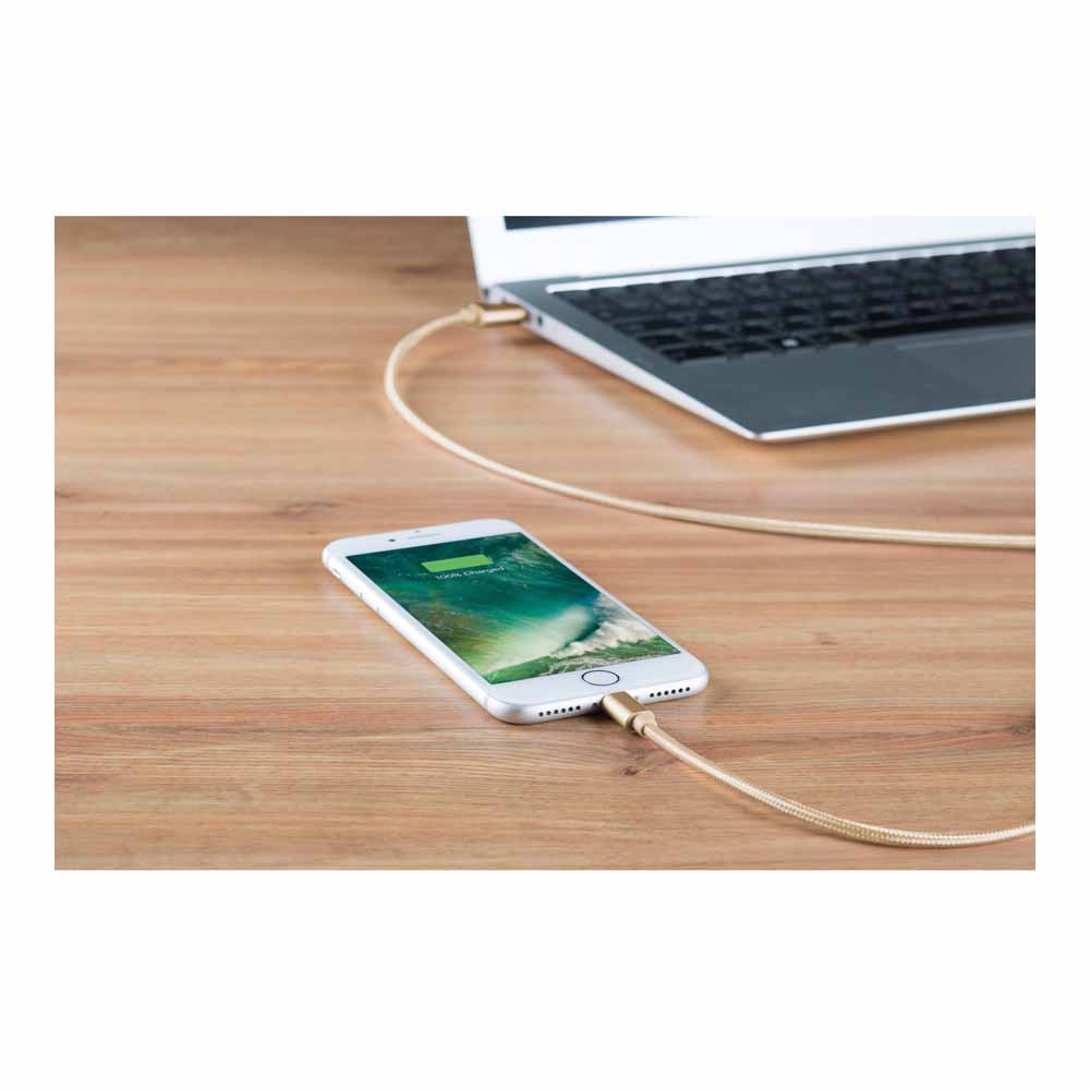 Kit Premium Lightning Cable 1m Gold | Wilko