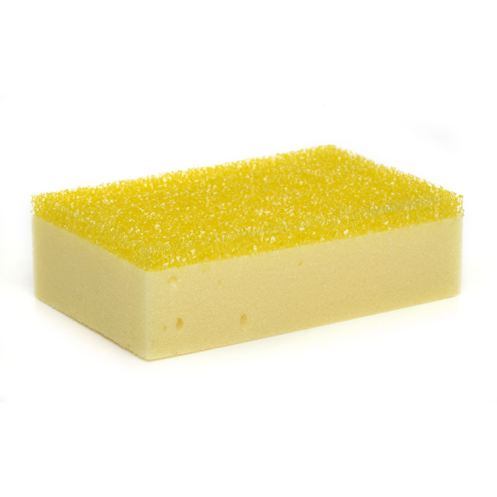 Wilko Bugshifter Sponge | Wilko