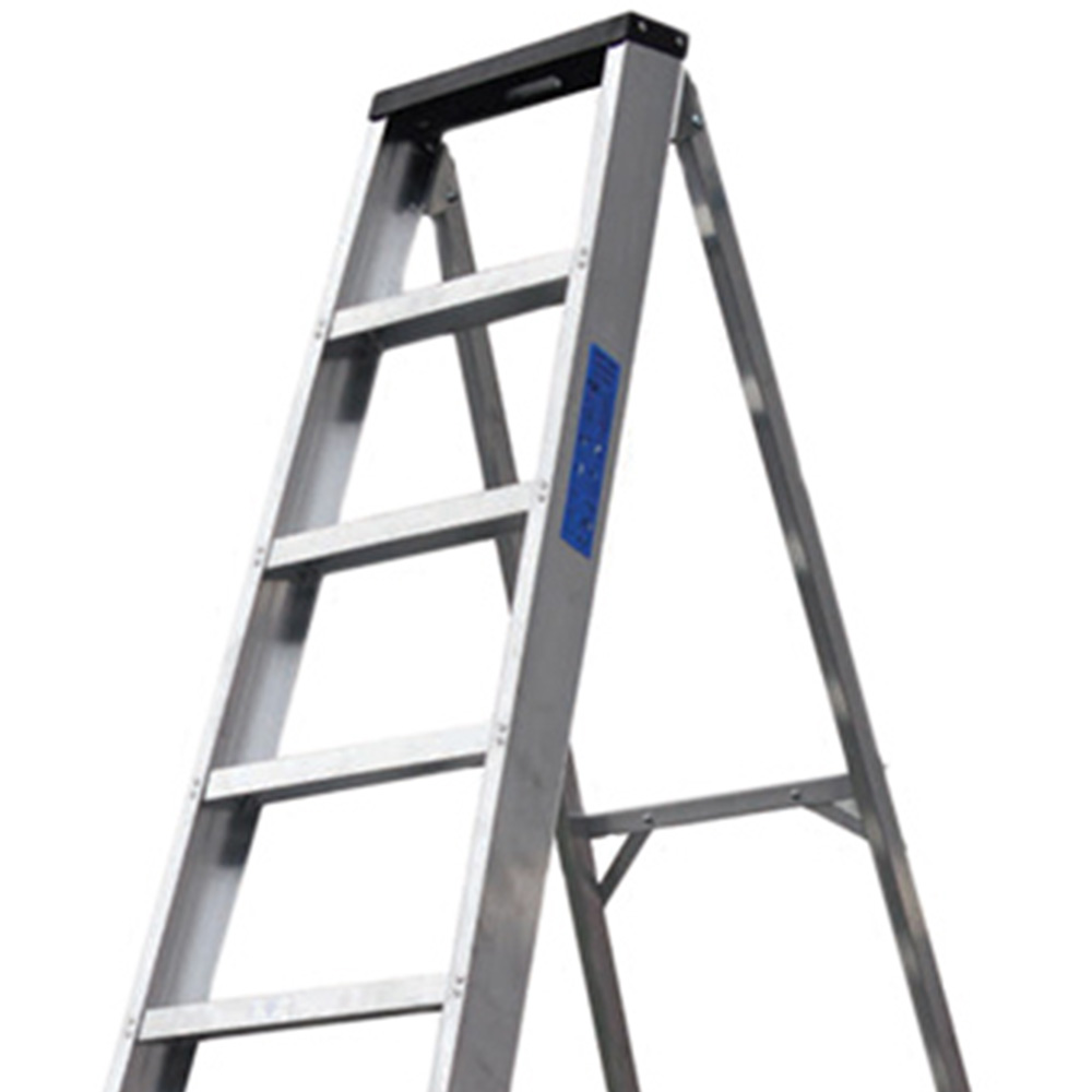 Lyte Ladders & Towers Professional Aluminium 12 Tread Swingback Step ...