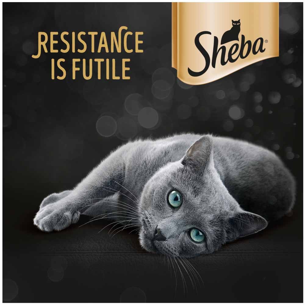 Sheba Fresh and Fine Fish in Jelly Cat Food 6 x 50g Case of 8 | Wilko