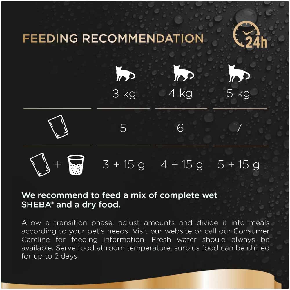 Sheba Fresh and Fine Fish in Jelly Cat Food 6 x 50g Case of 8 | Wilko