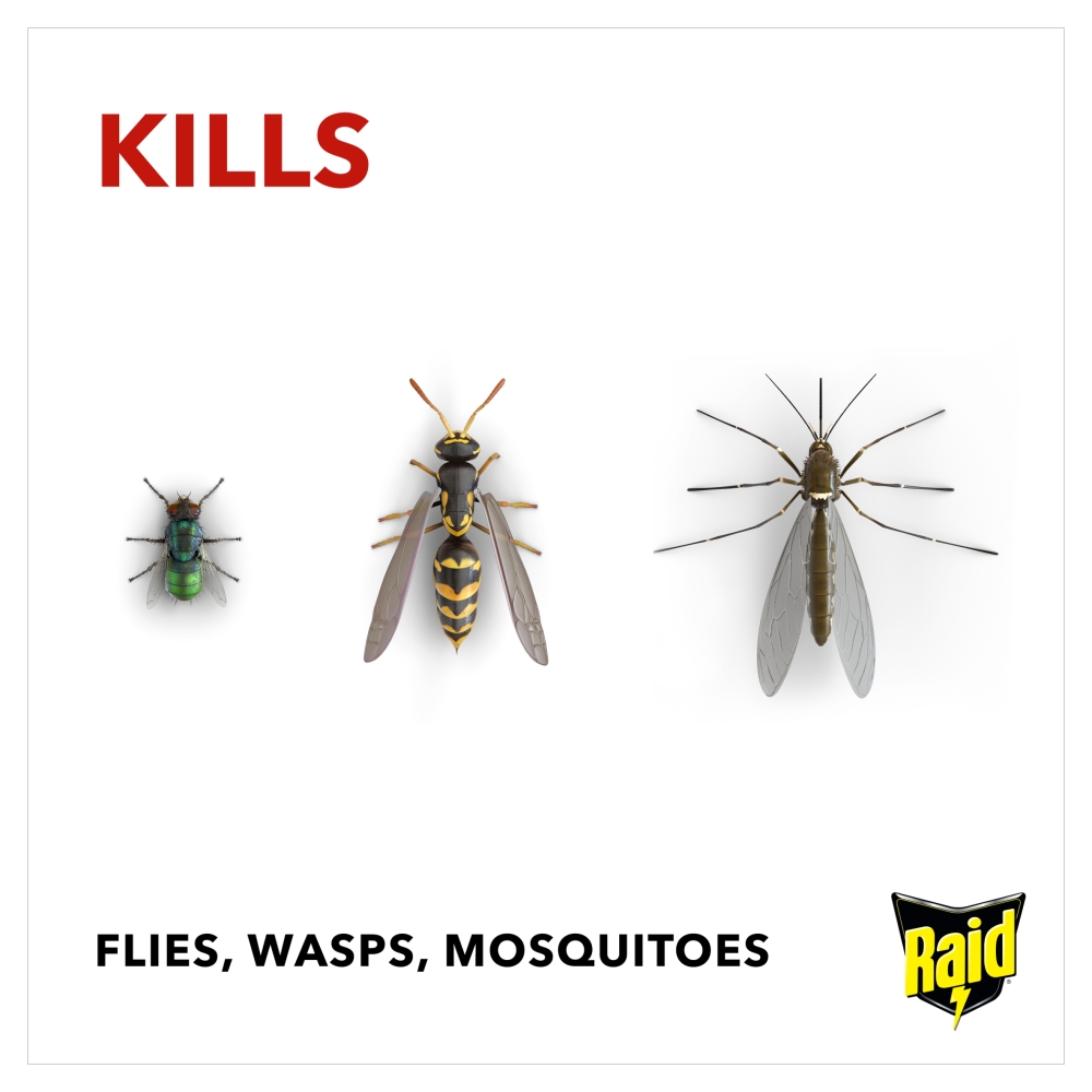 Raid Protector Fly Wasp and Mosquito Killer 300ml | Wilko