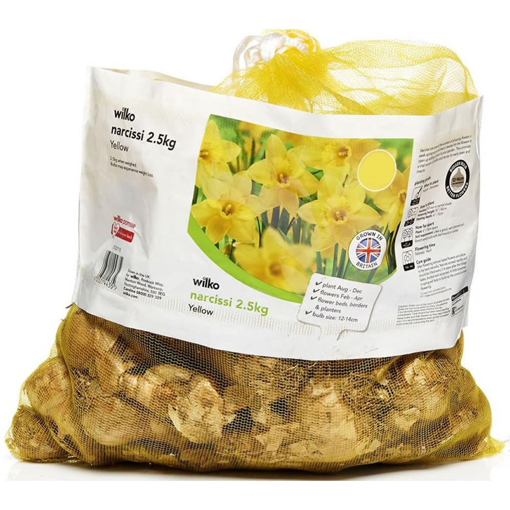 Wilko Autumn Bulbs Daffodil Yellow 2.5Kg | Wilko