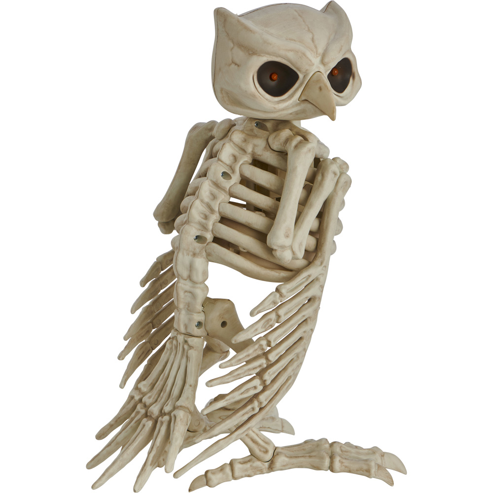 Wilko Halloween Animated Owl Skeleton | Wilko