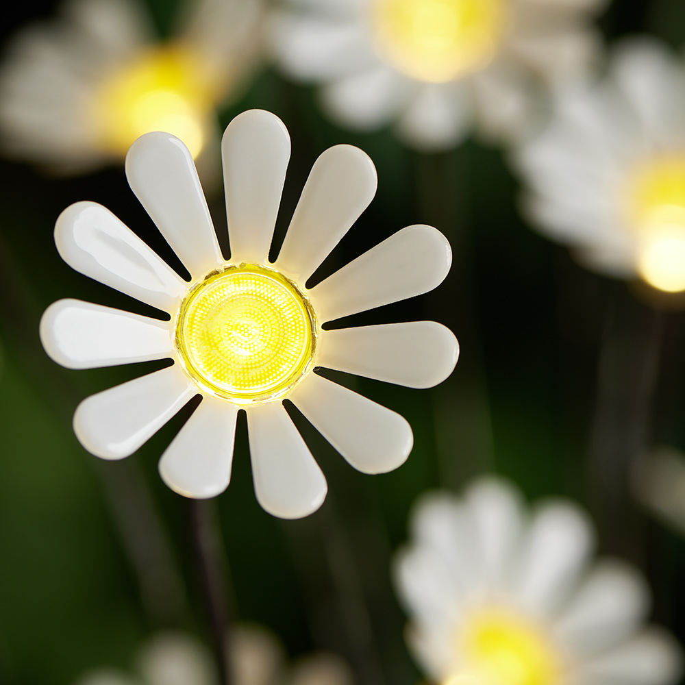 Wilko 20 Warm White LEDs Daisies Garden Solar String Lights | Wilko