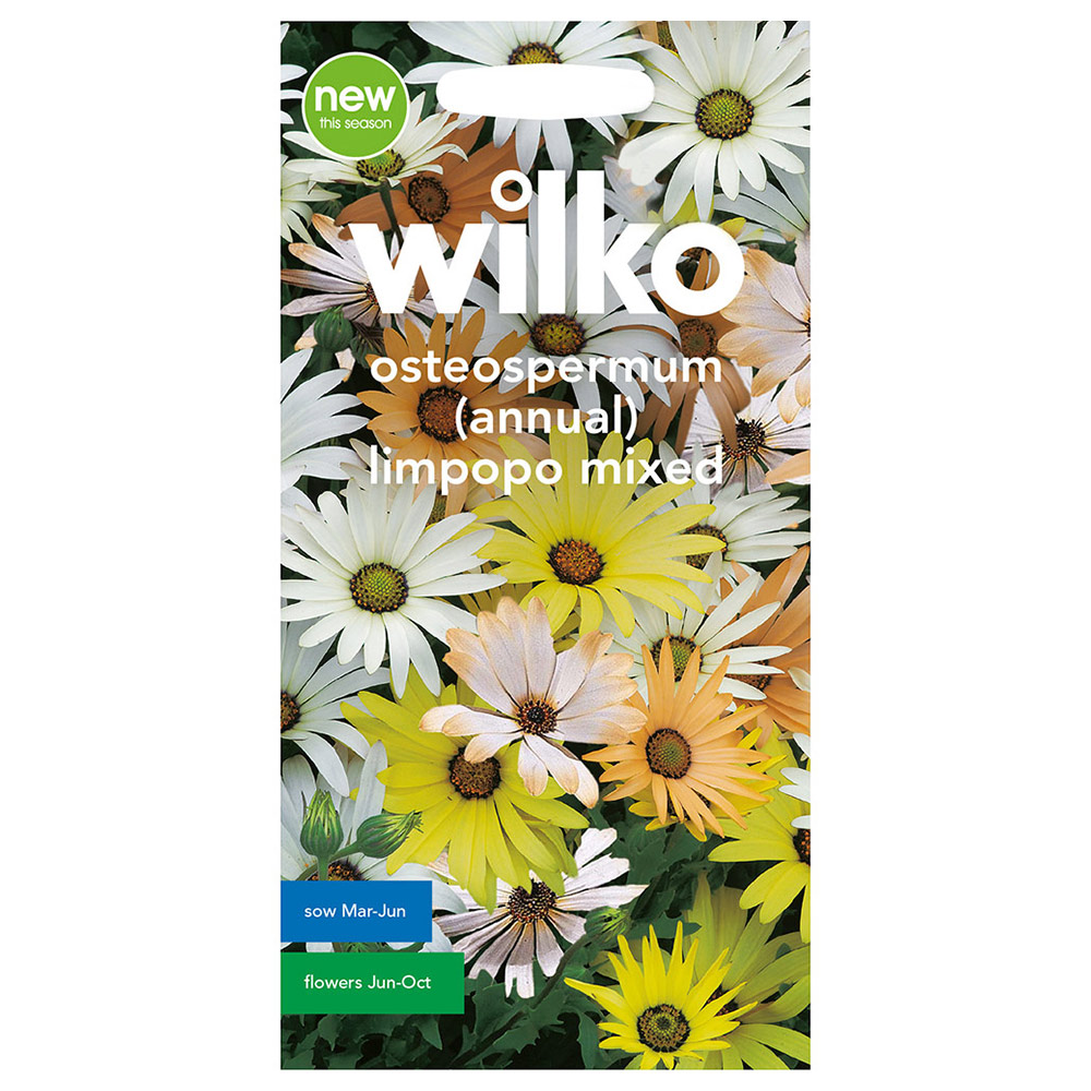 Wilko Osteospermum Limpopo Mixed Seeds | Wilko