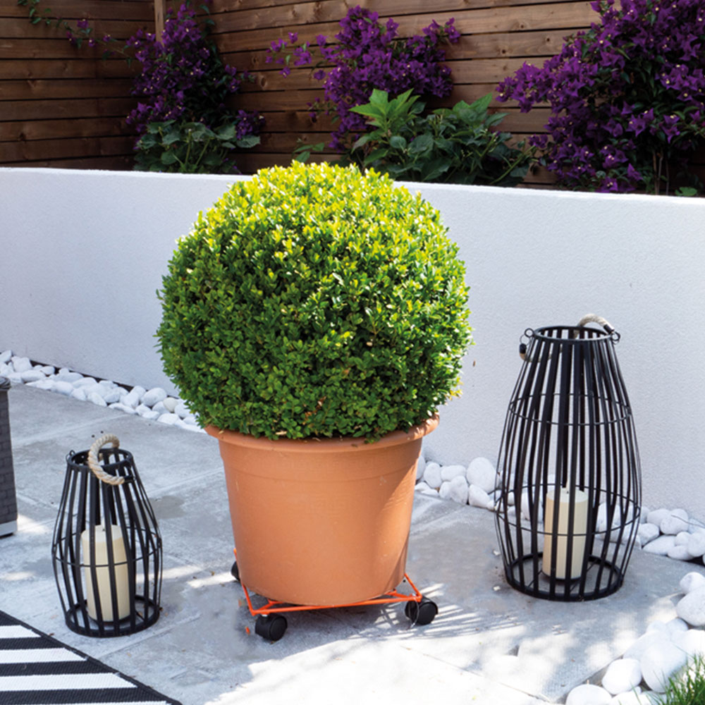 St Helens Square Garden Pot Mover 28cm | Wilko