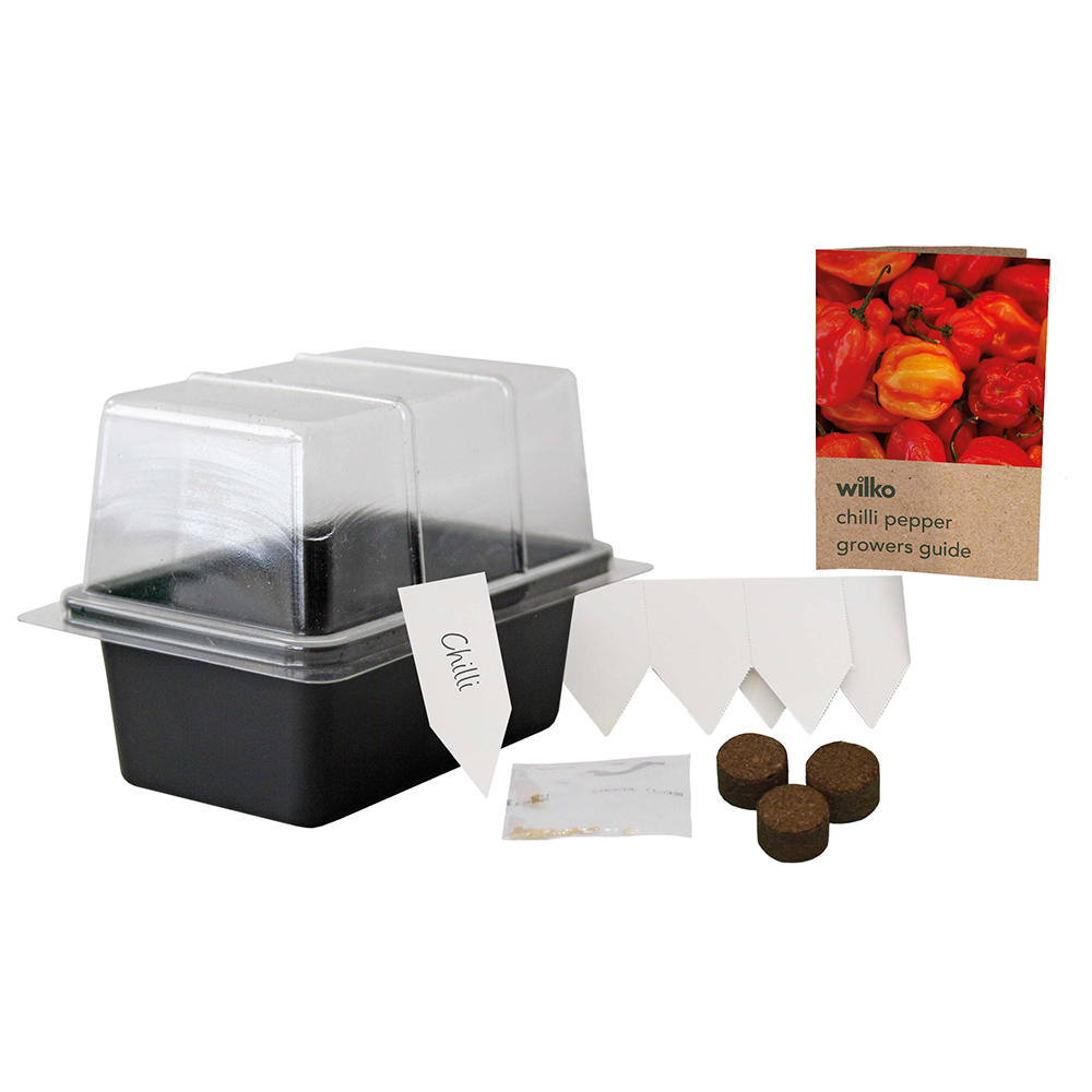 Wilko Chilli Giant Cracker Gift Set | Wilko