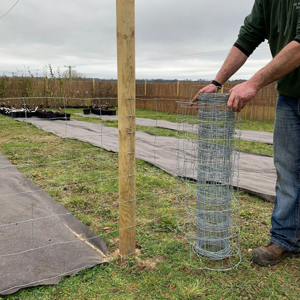 Inspirational Gifting L5/60/15 Lightweight Stock Wire Fencing Roll 60cm ...