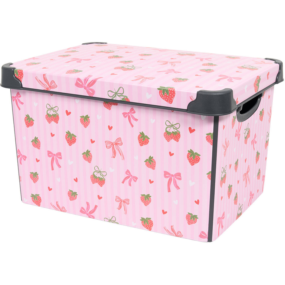 Berry Sweet Printed Storage Box Pink | Wilko