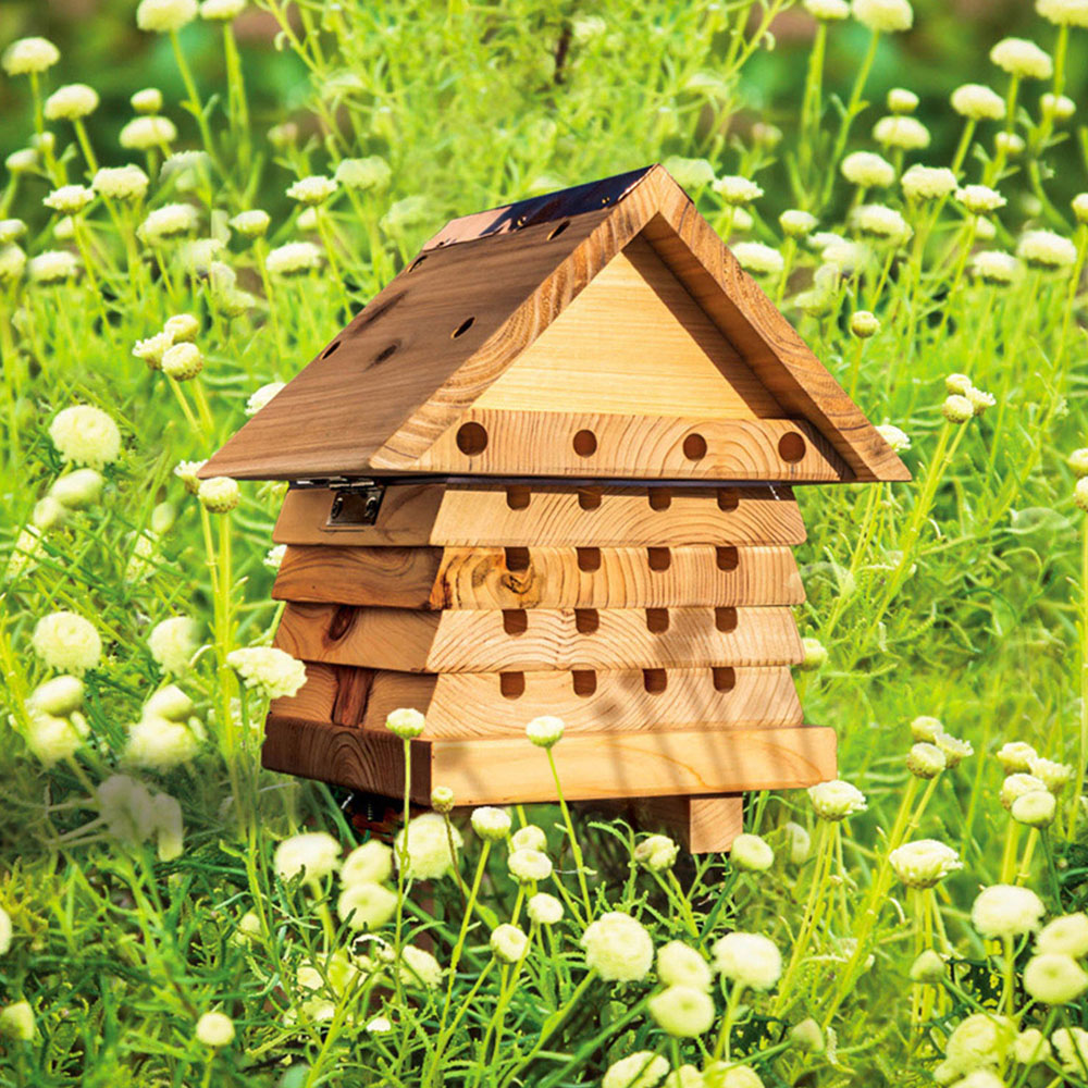 Wildlife World Interactive Solitary Bee Hive | Wilko
