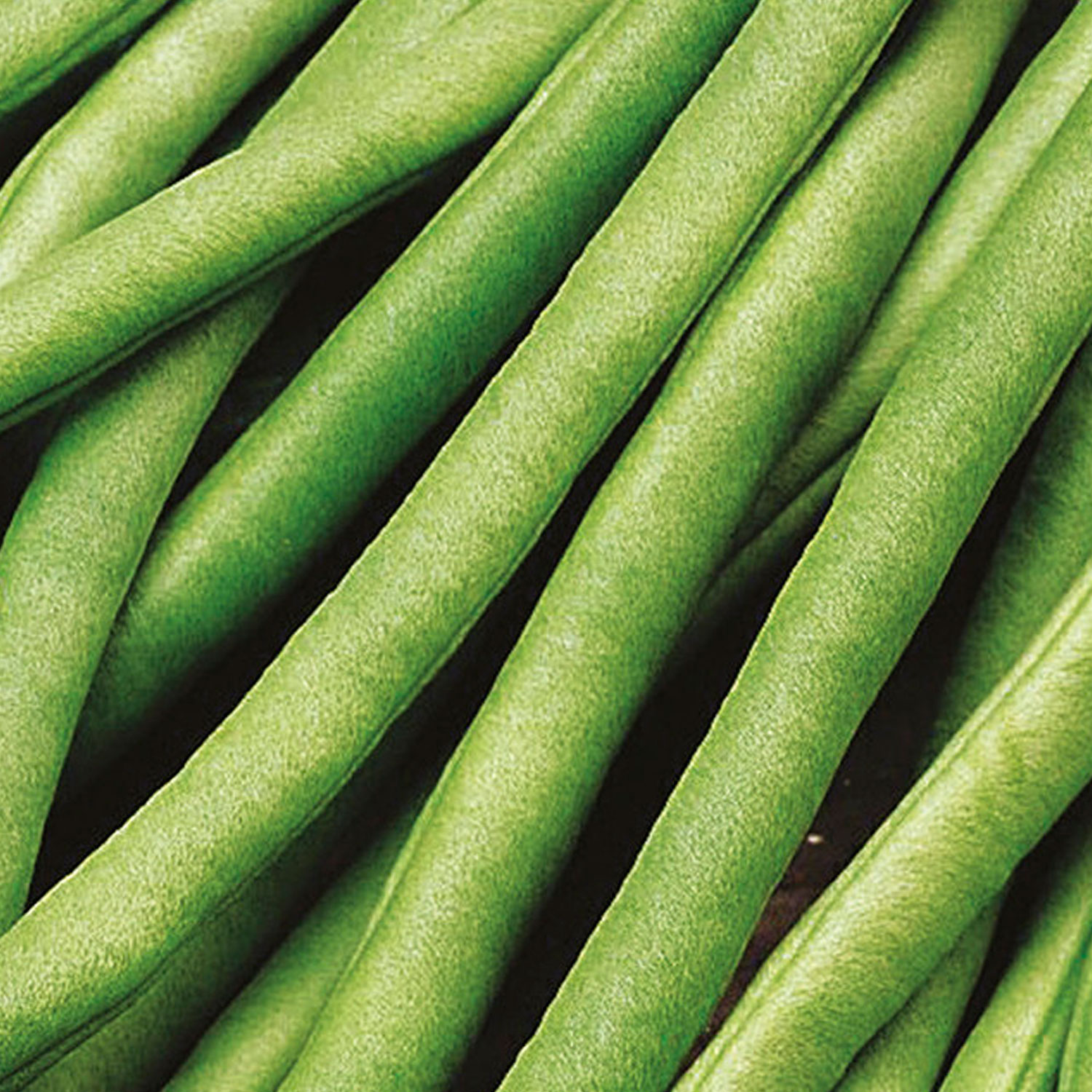 Johnsons Cobra Climbing French Bean Seeds | Wilko