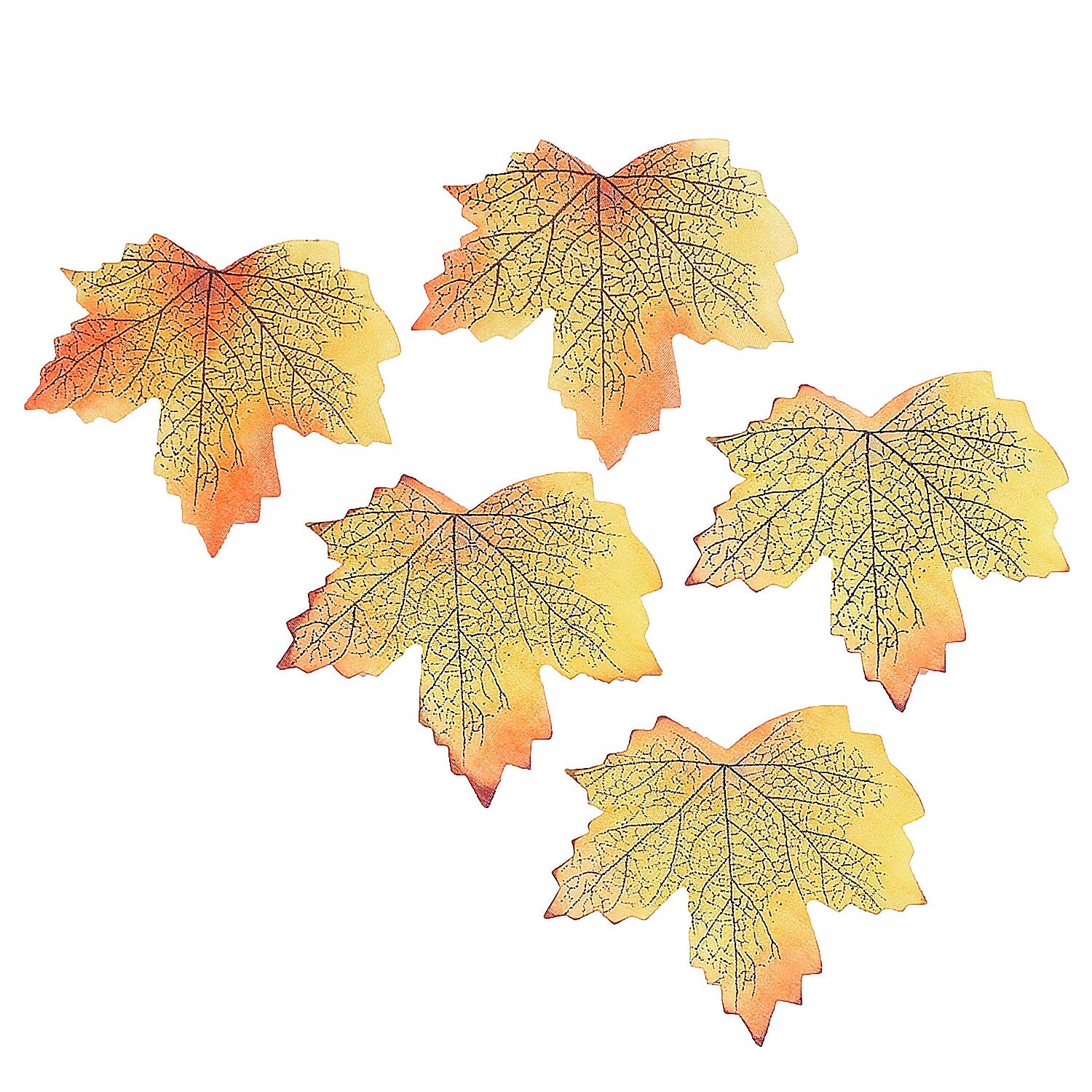 Pack of 30 Small Maple Leaves | Wilko