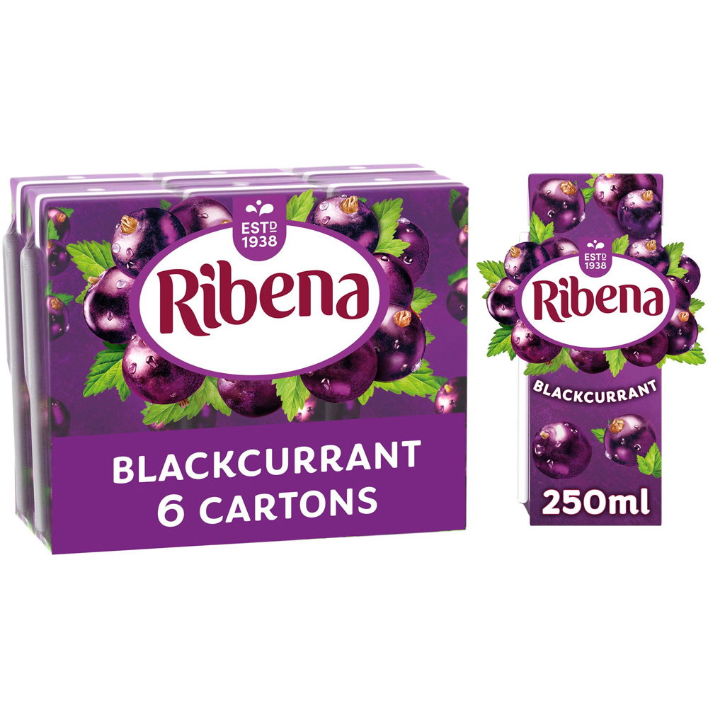 Ribena Blackcurrant Cartons 6 x 250ml | Wilko