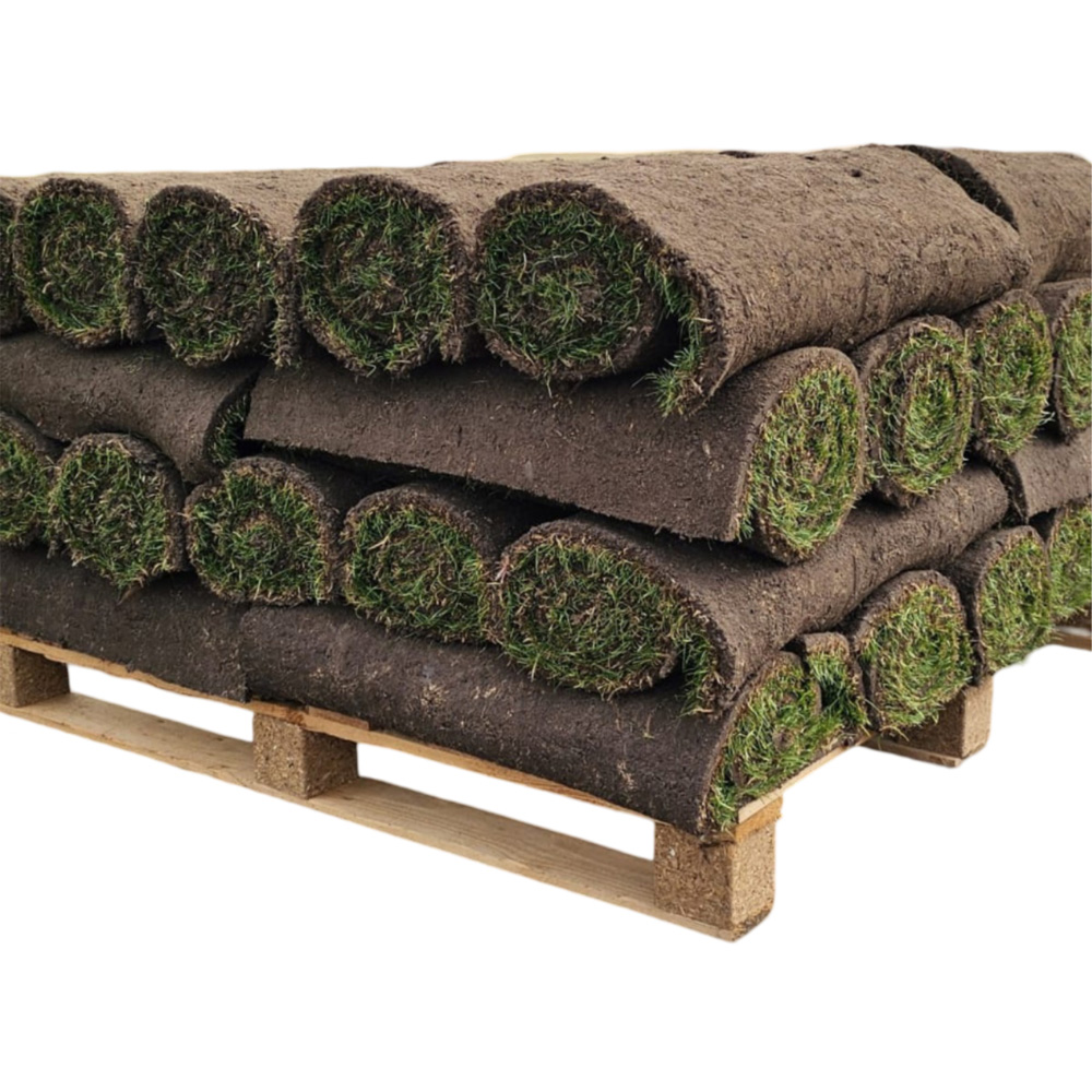 Inturf Classic Turf Roll 40sqm | Wilko