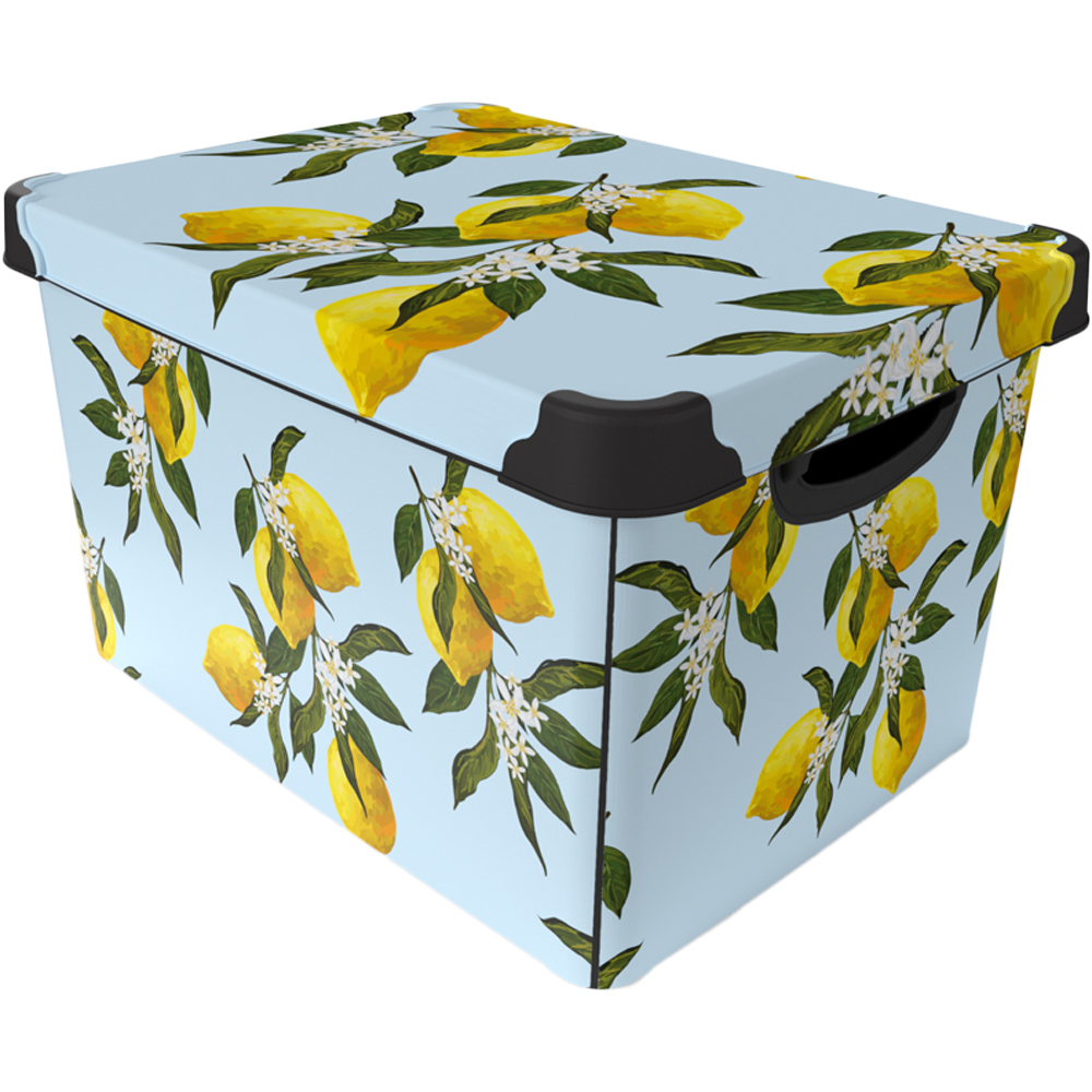 17L Lemon Pattern Storage Box | Wilko