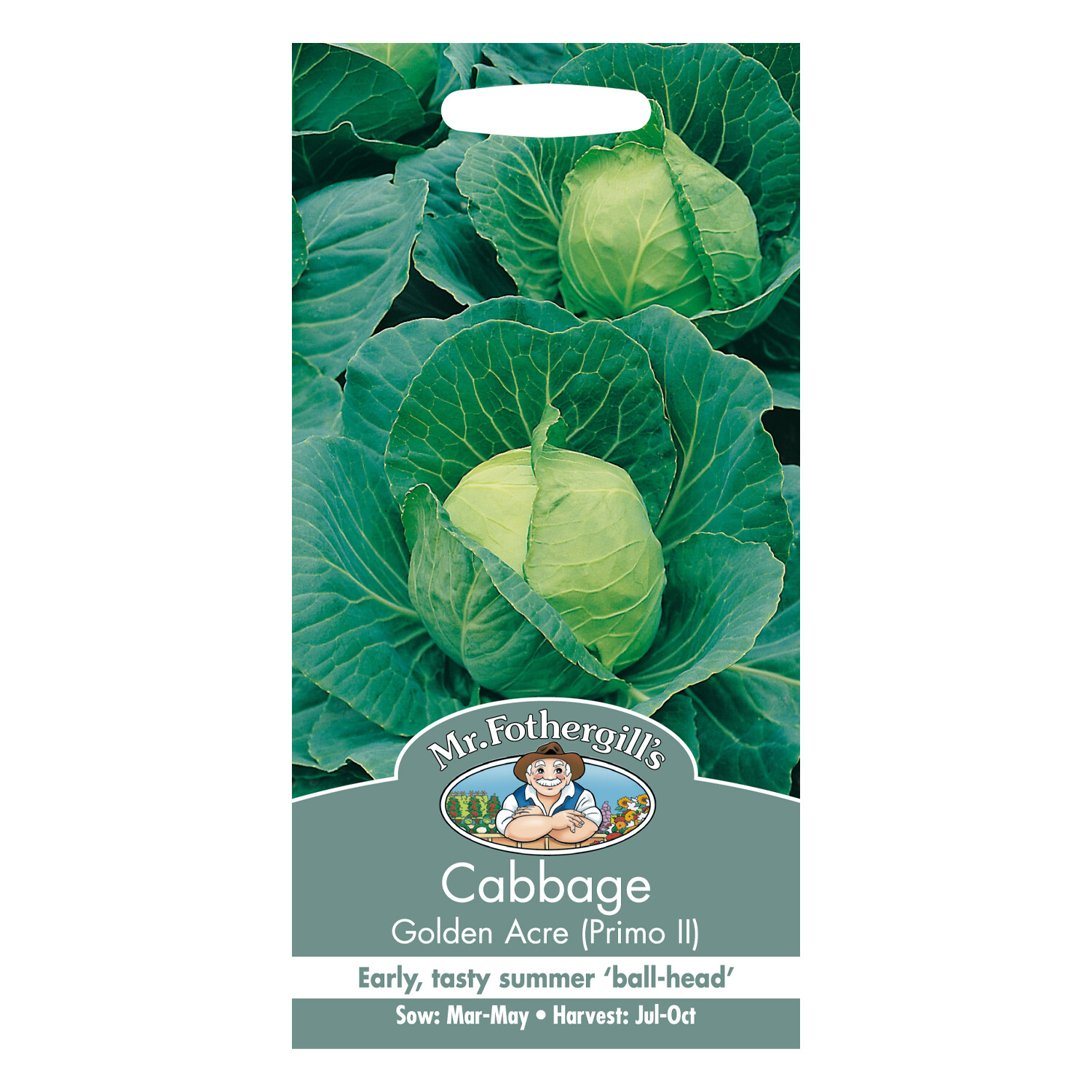 Golden Acre (Primo II) Cabbage Seeds | Wilko